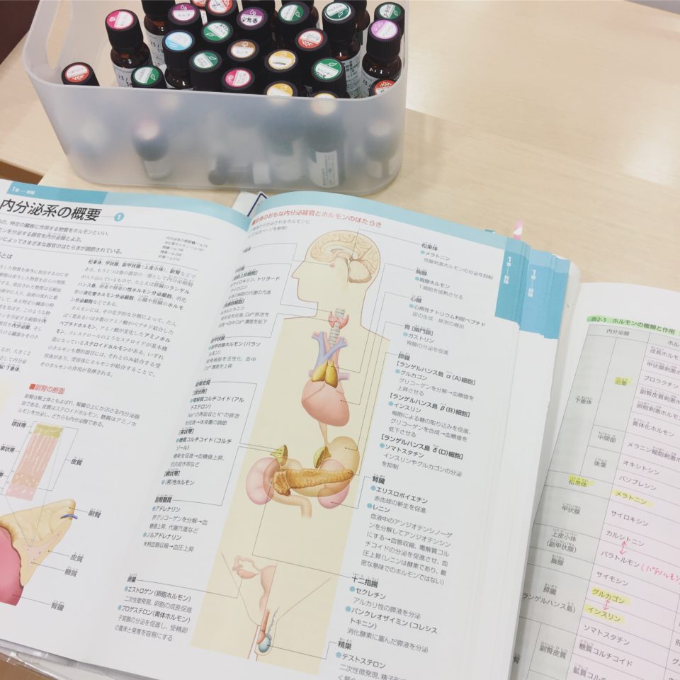 【report】AEAJアロマテラピーインストラクター養成講座 - ametsuchi