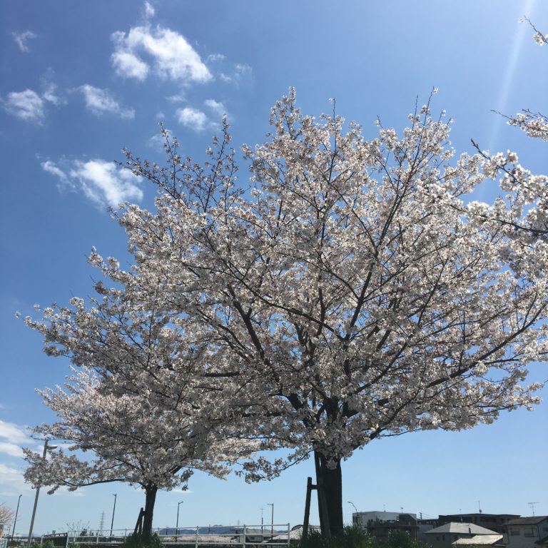 休講のお知らせ - ametsuchi